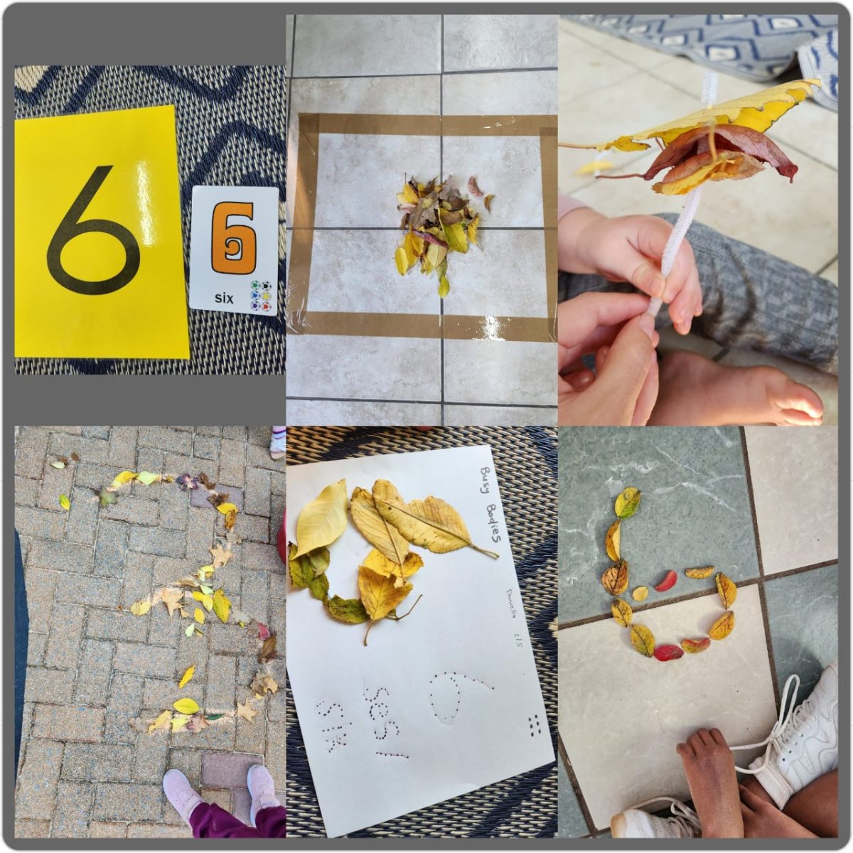 AKTIWITEITE – Gogga Speelskool